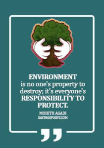 60 Environment Quotes and Sayings To Inspire You Protect Environment ...