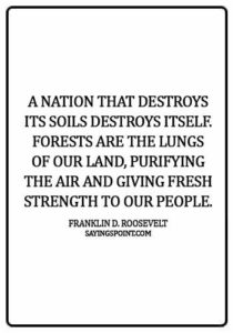 60 Environment Quotes and Sayings To Inspire You Protect Environment ...