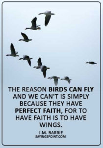 60 Birds Quotes and Sayings Sayings Point