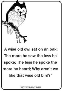 40 Beautiful Owl Quotes and Sayings Sayings Point