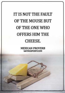 50 Cheese Quotes and Sayings Sayings Point