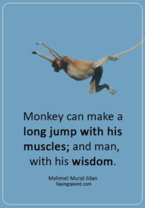 46 Monkey Quotes and Sayings Sayings Point