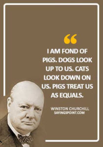 48 Pig Quotes and Sayings Sayings Point