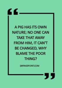 48 Pig Quotes and Sayings Sayings Point