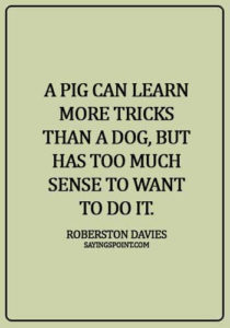 48 Pig Quotes and Sayings Sayings Point